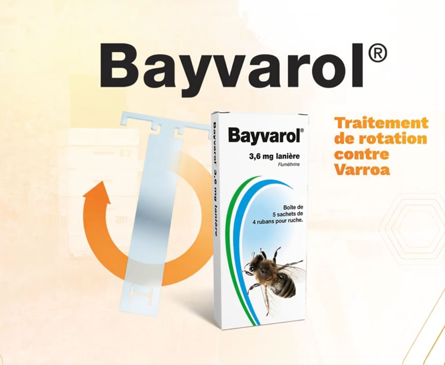 BAYVAROL (en sachet pour 5 ruches) - G.D.S.A. de l'Aude